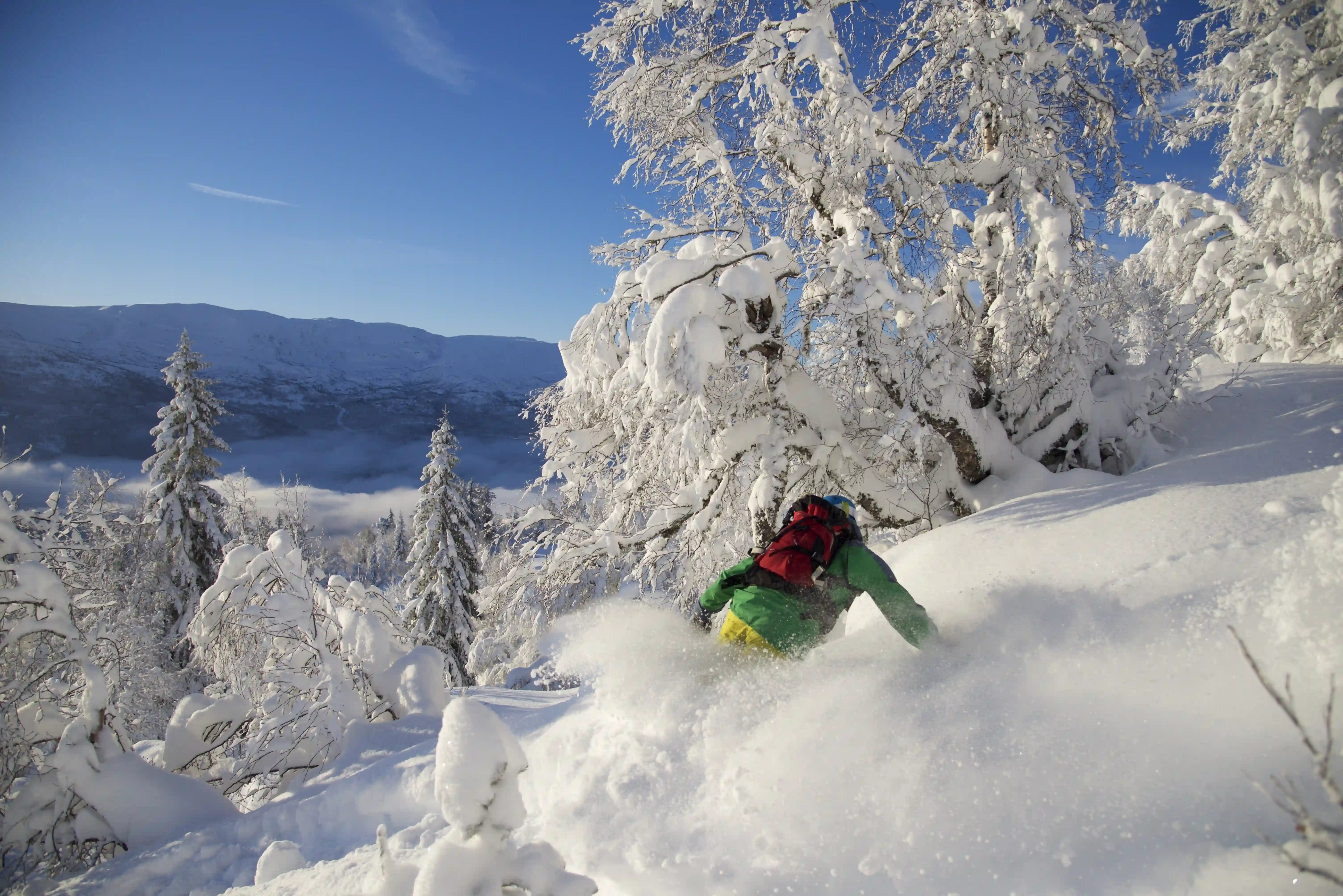 Ski